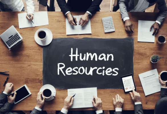 Human Resources Guide: Definition, Duties & Career Paths